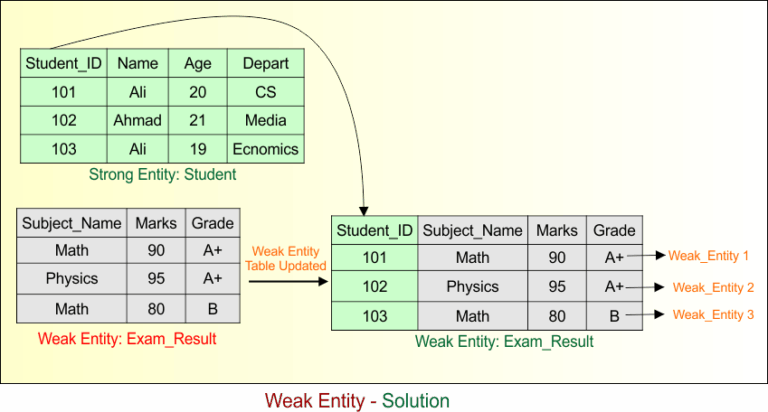 Entity in ER Model » CS Taleem