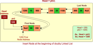 Insertion In Doubly Linked List In C » CS Taleem