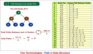Basic Tree Terminologies In Data Structure » CS Taleem