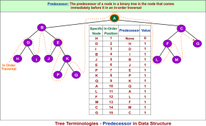 Basic Tree Terminologies In Data Structure » CS Taleem