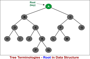 Basic Tree Terminologies In Data Structure » CS Taleem