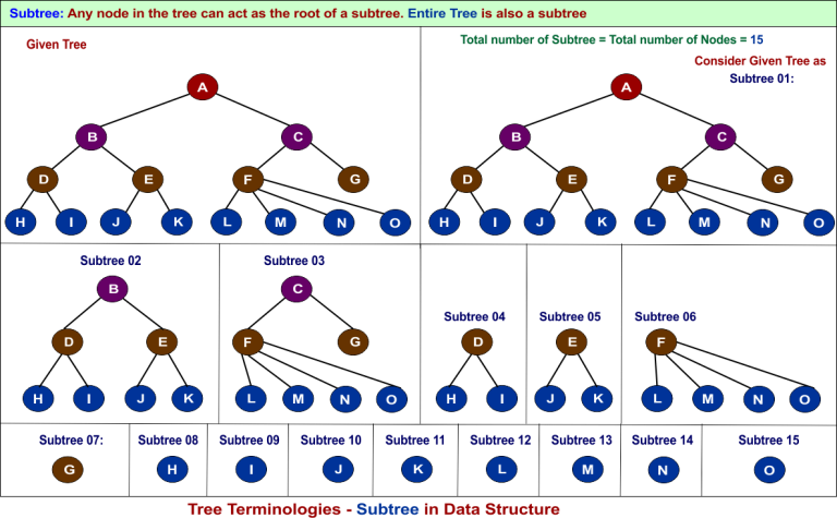 Basic Tree Terminologies In Data Structure » CS Taleem