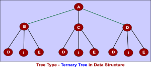 Types of Trees In data structure » CS Taleem