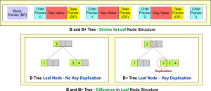 Difference Between B and B+ Tree » CS Taleem