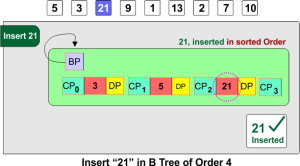Insertion in B Tree Examples (Order 3,4) » CS Taleem