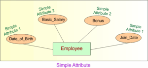 Attributes in DBMS » CS Taleem